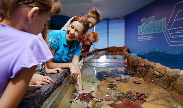 SEA LIFE Mooloolaba Aquarium — EducationHQ