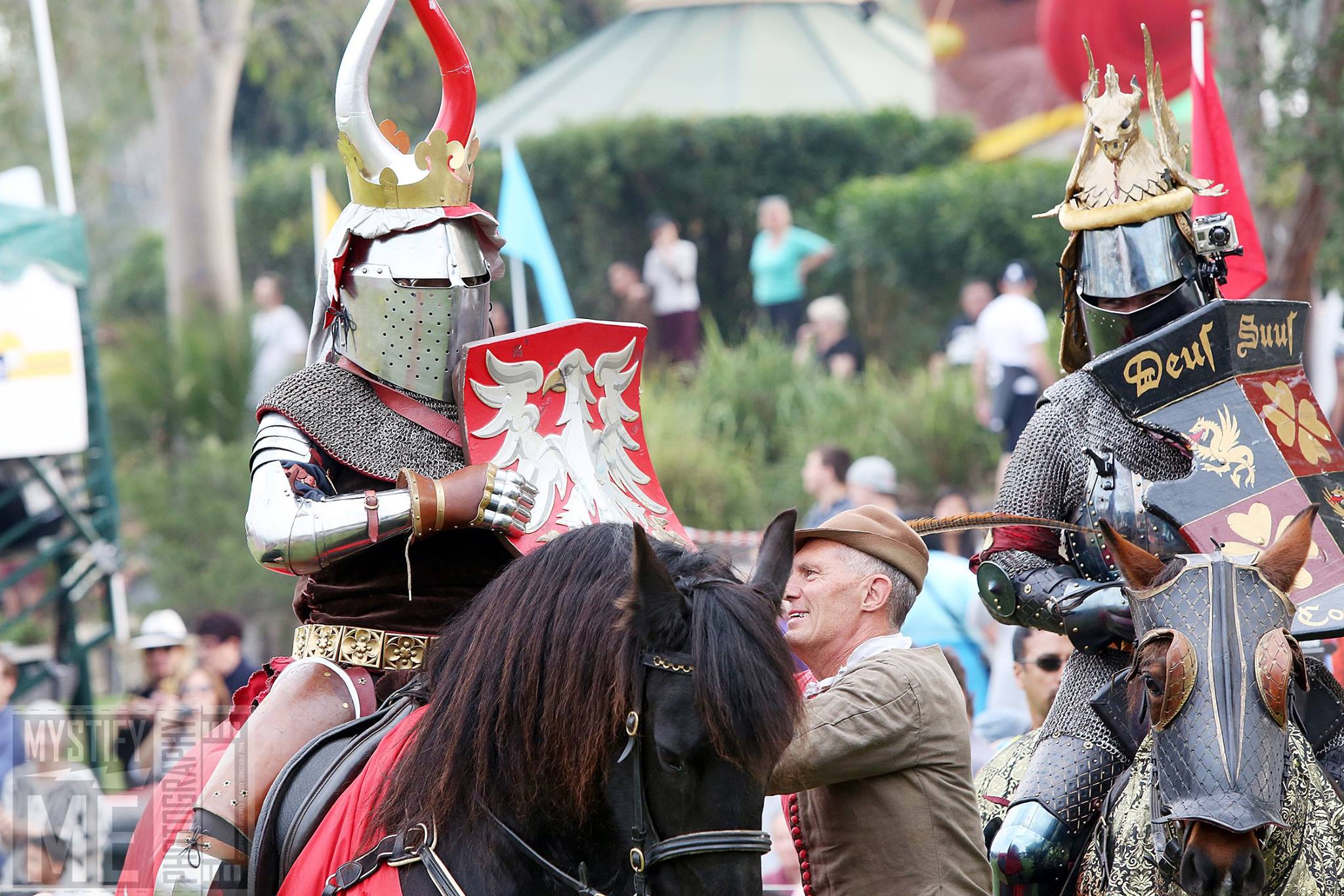 Hay a real life knight in shining armour — EducationHQ