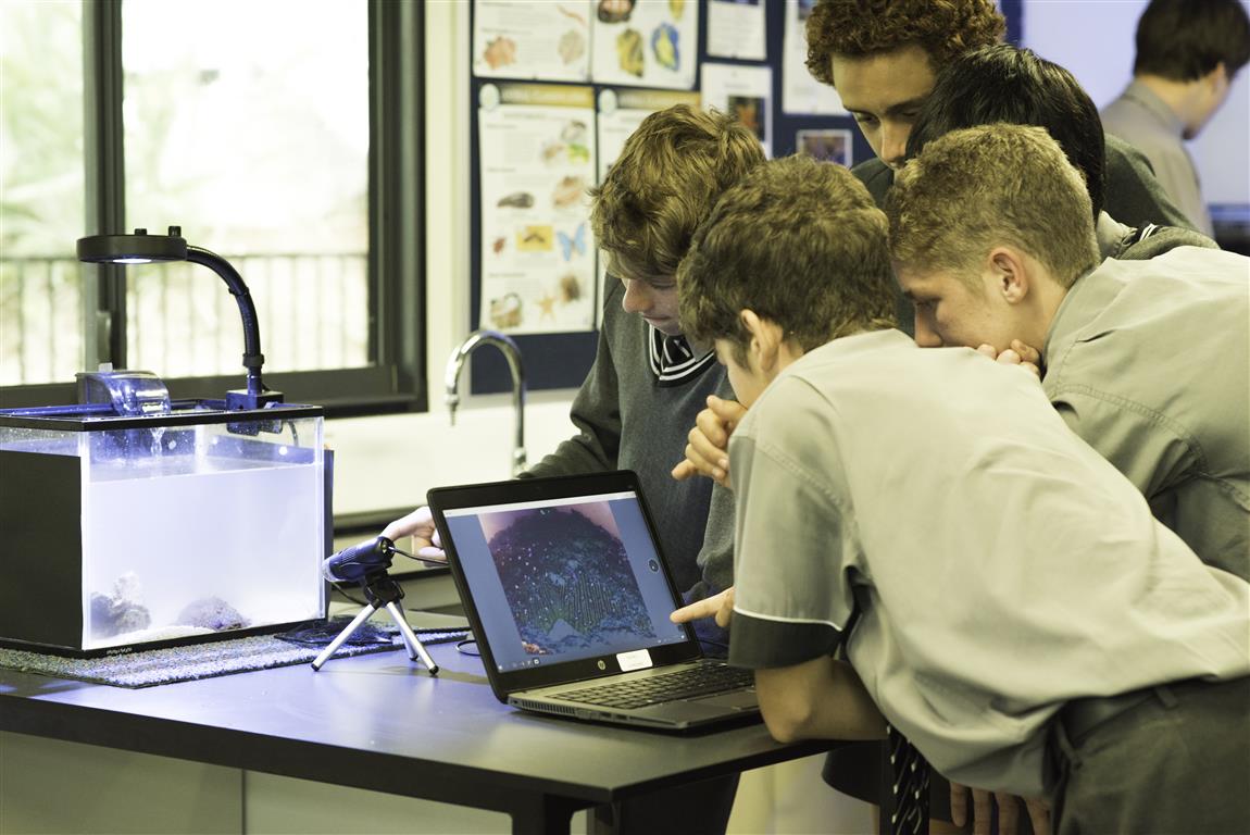 Corals project takes students into the scientific deep — EducationHQ