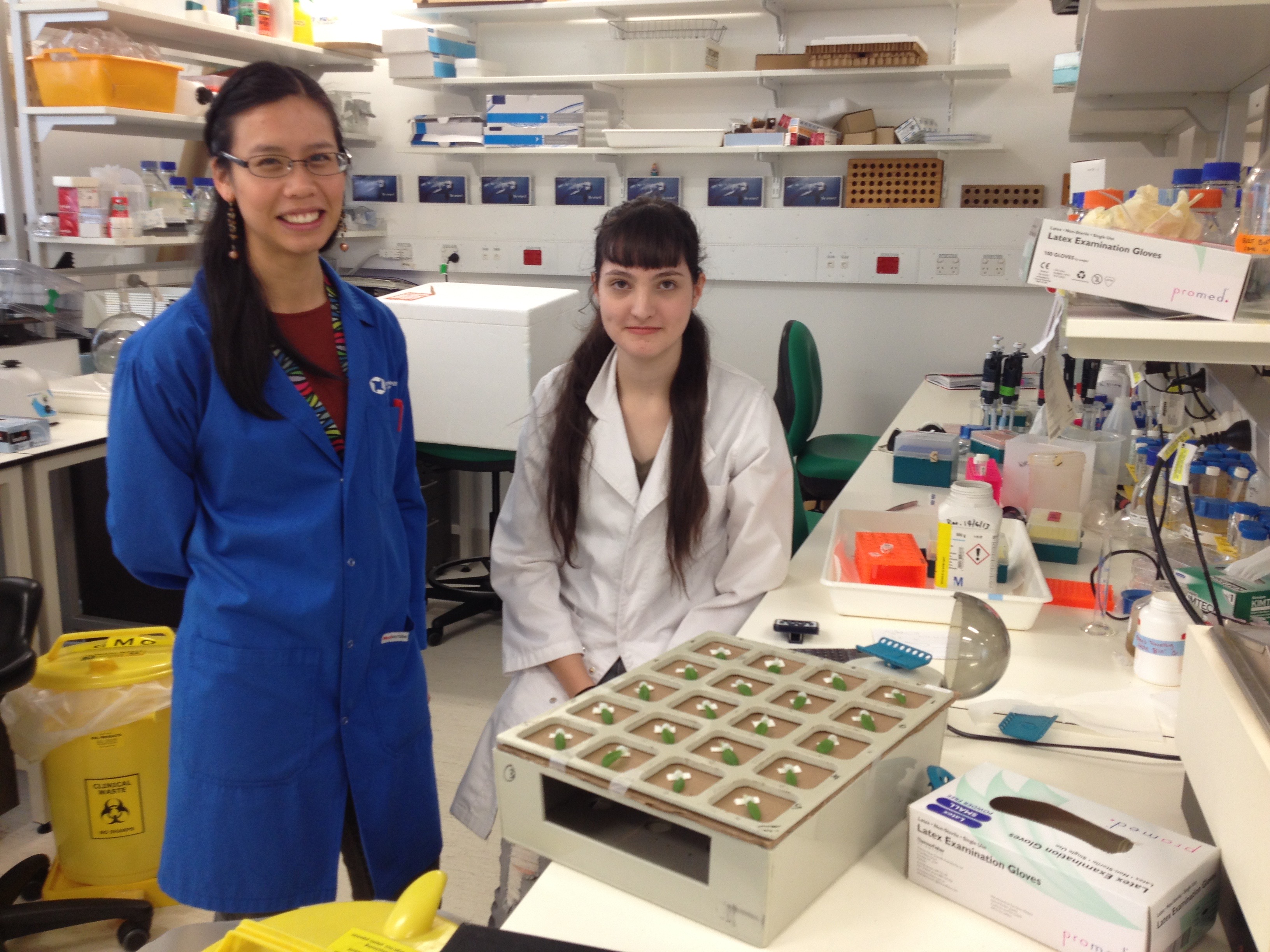 Onwards and upwards for McNamara's science mentor programs — EducationHQ