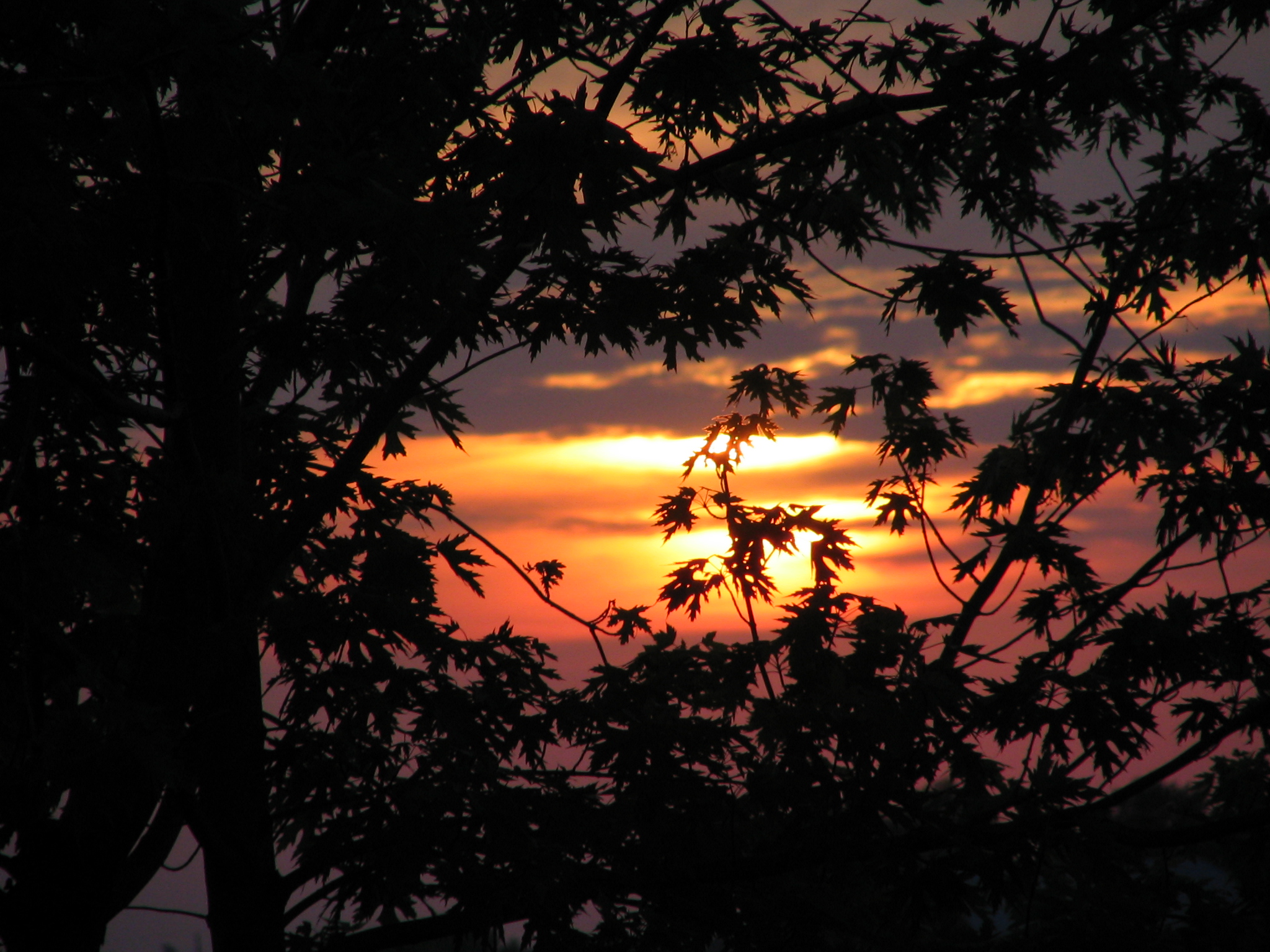 Bush settings boost wellbeing in Aboriginal students — EducationHQ