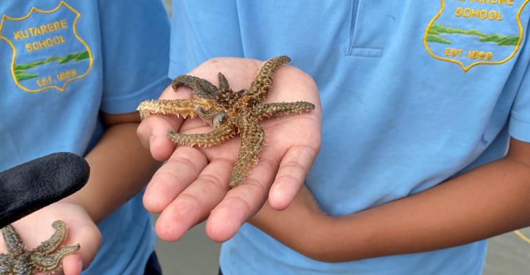 Students converge for mass Seaweek field trip — EducationHQ