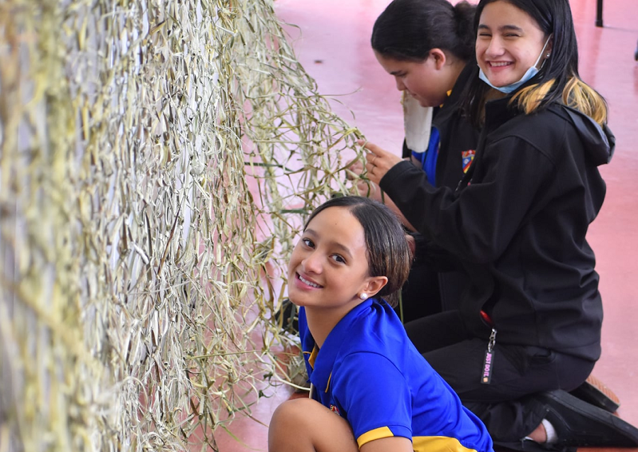 Hooked into learning: Rural school's Māori approach engages students ...