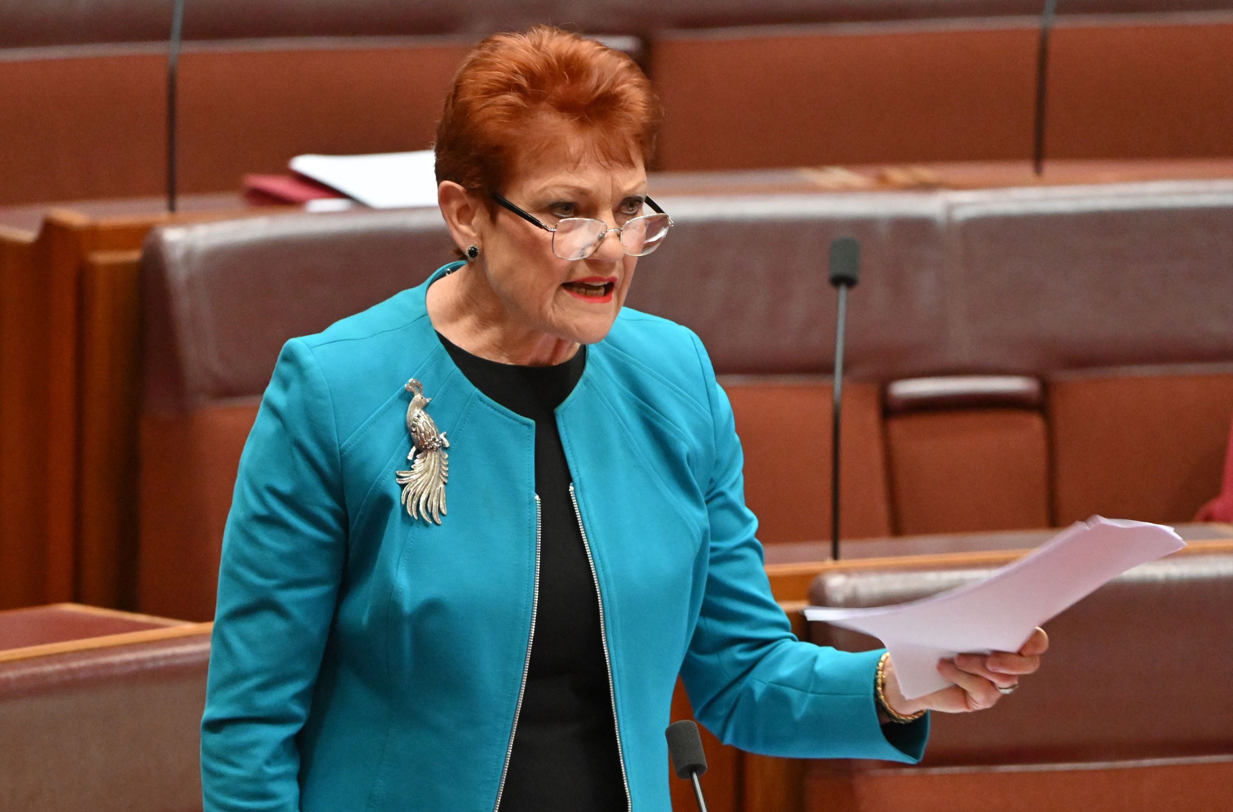 Hanson revives anti-indoctrination in schools bill amid criticism ...