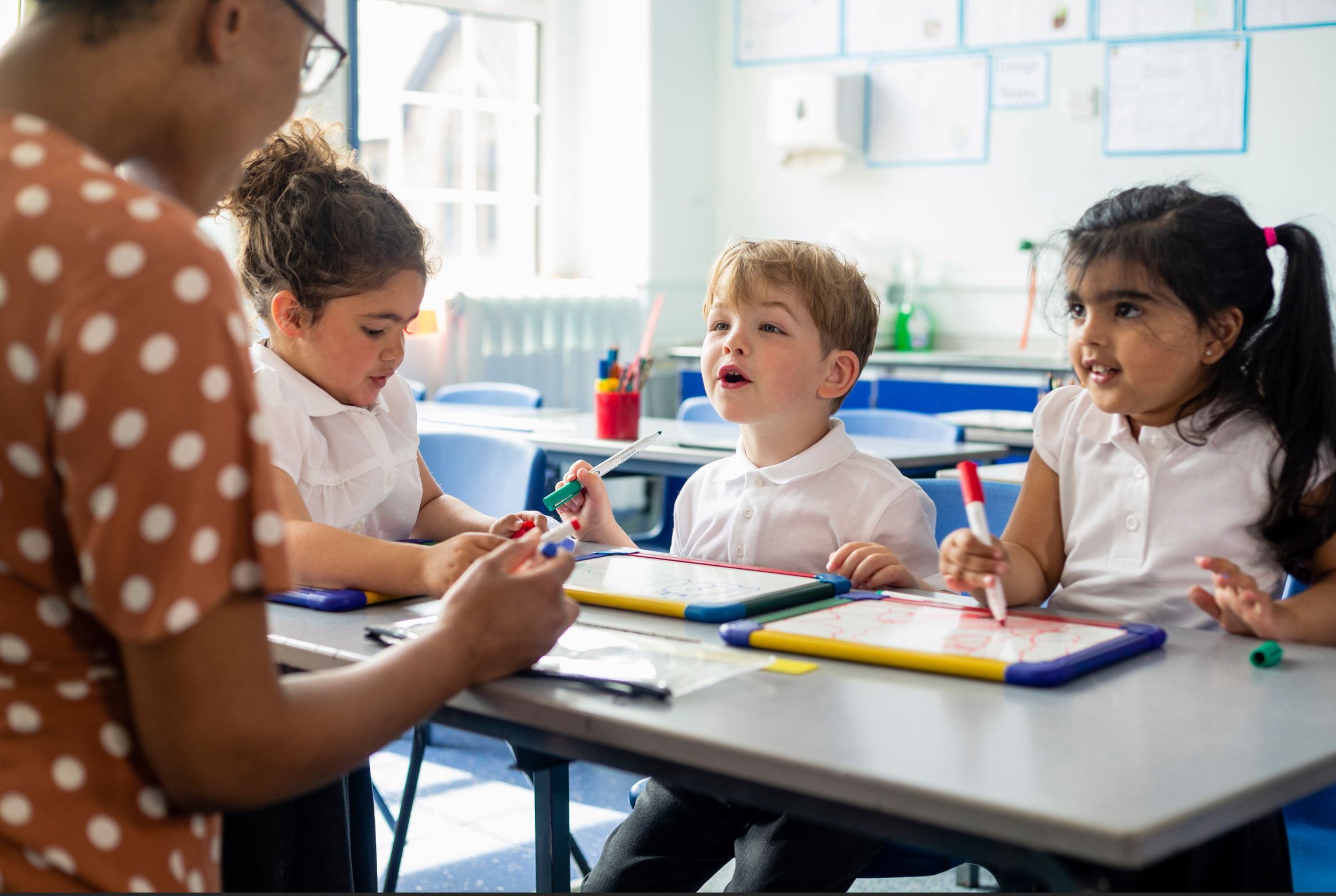 ‘Reckless’ view: experts divided on expanded definition of literacy ...