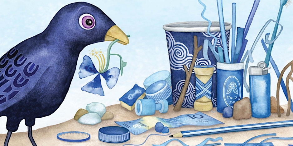 Kids join bowerbird’s search for blue in National Simultaneous ...