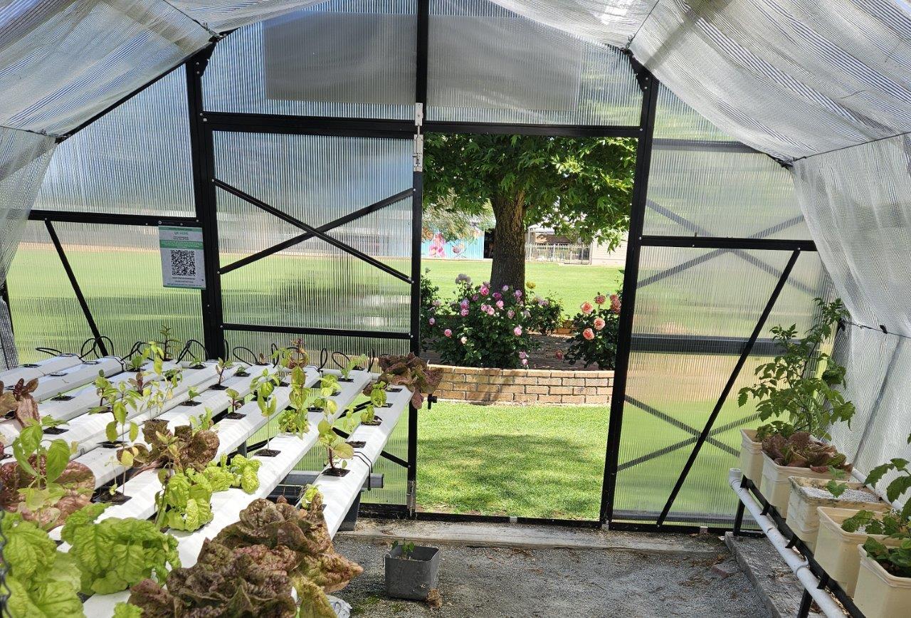 ‘It’s a movement’: revolutionary school greenhouse program drives ...