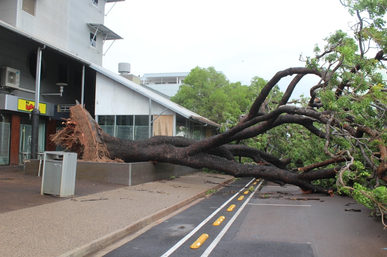Strongest since Cyclone Tracy: massive NT clean-up as Fina moves on ...