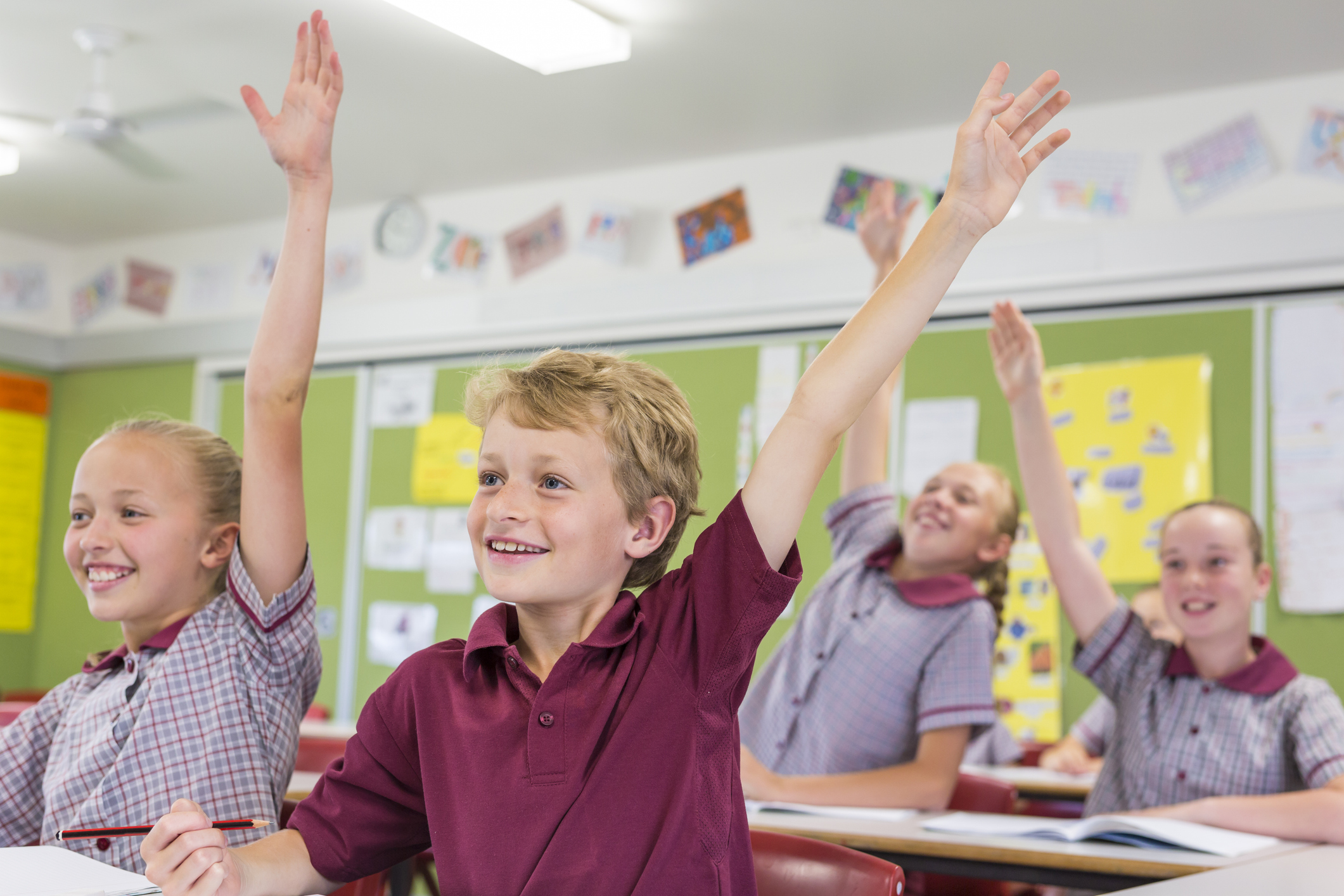 Learning needs neglect: gifted education expert slams double standards ...