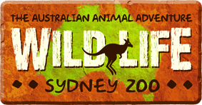 Wild Life Sydney Zoo