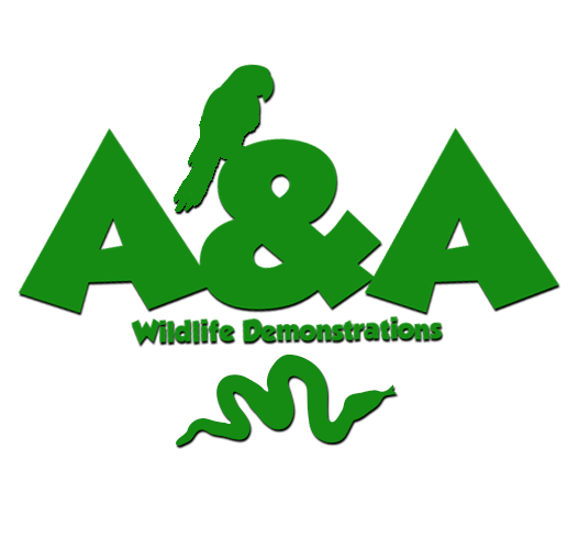 Interactive and Educational Australian Wildlife Incursions! — EducationHQ