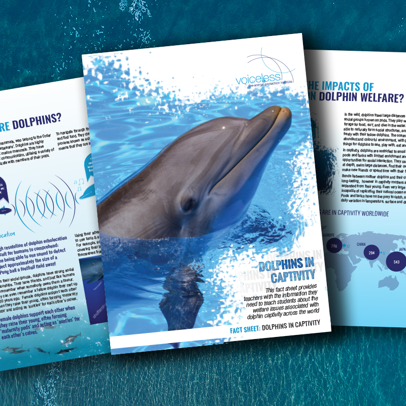 Fact Sheet - Dolphins in Captivity — EducationHQ