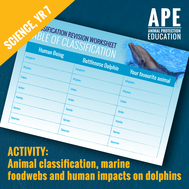 Lesson Plan - Dolphins in Captivity - Science Year 7 - Animal ...