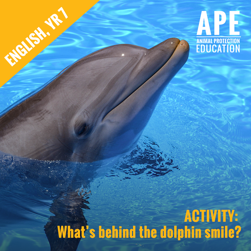 Lesson Plan - Dolphins in Captivity - English Year 7 - Literature and ...