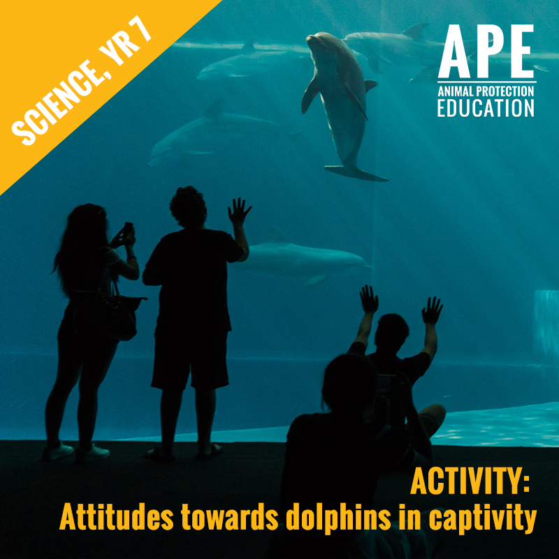 Lesson Plan - Dolphins in Captivity - Science Year 7 - Science as a ...