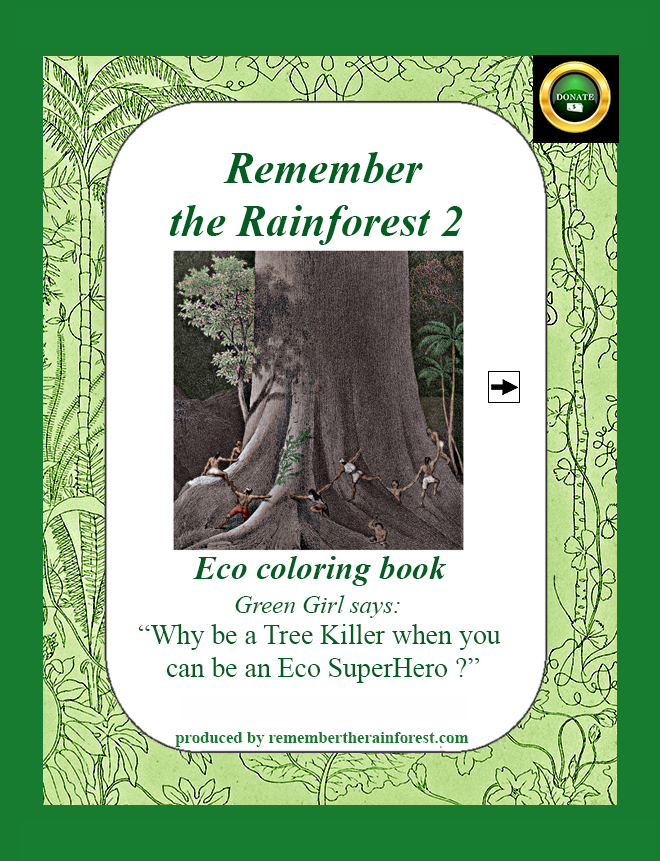 Remember the Rainforest 2 : Eco coloring book — EducationHQ
