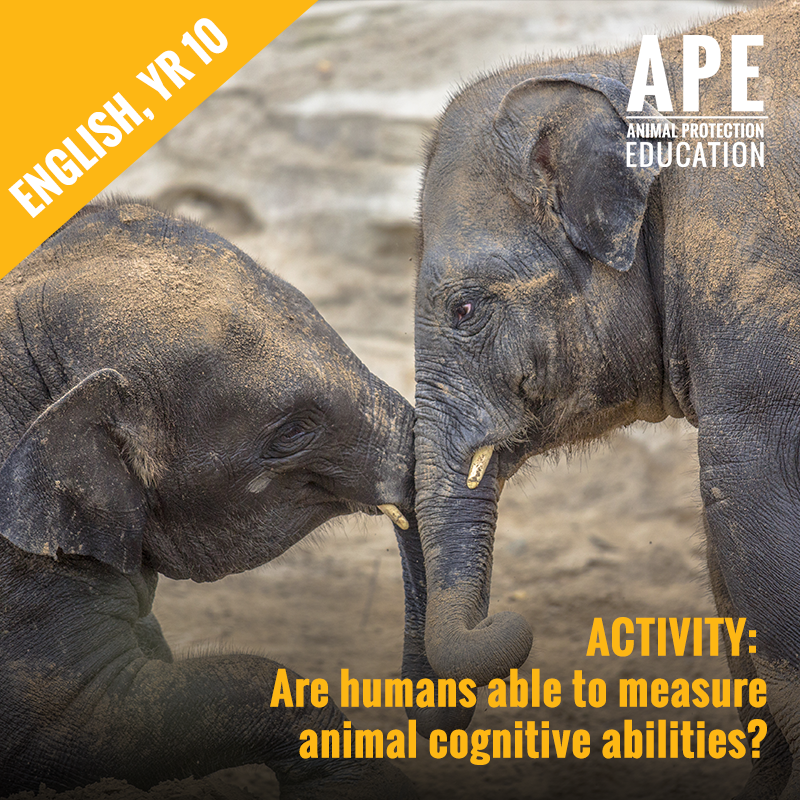 Lesson Plan - Legal Personhood - English, Yr 10 — EducationHQ