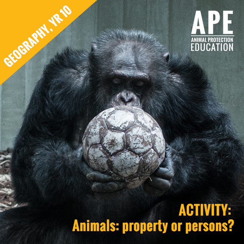 Lesson Plan - Legal Personhood - Geography, Yr 10 — EducationHQ