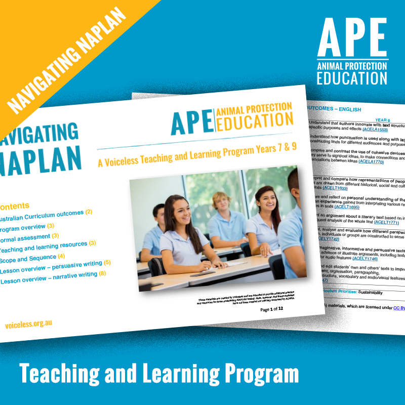 Navigating NAPLAN - Teaching and Learning Program — EducationHQ