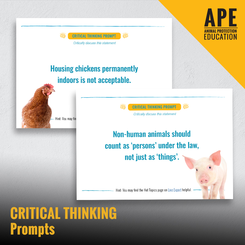 Critical Thinking Prompts - Years 7-10 — EducationHQ