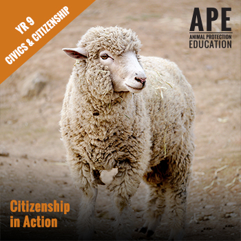 Live Export Lesson Plan - Citizenship in Action - Civics Year 9 ...