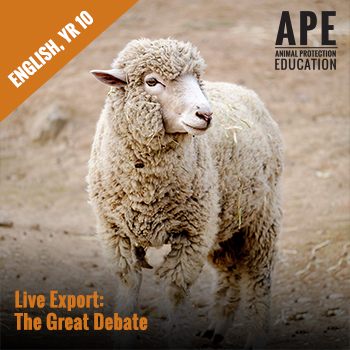 Live Export Lesson Plan - The Great Debate - English Year 10 — EducationHQ