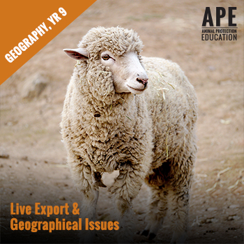 Live Export Lesson Plan - Live Export and Geographical Issues ...