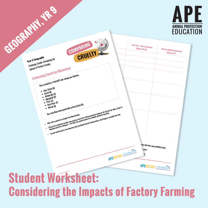 Comparing Cruelty Student Worksheet - Comparing Countries - Geography ...