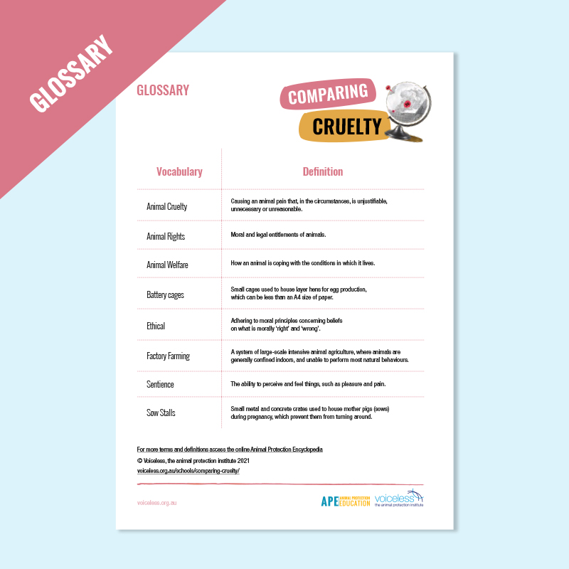 Glossary and Quiz - Comparing Cruelty — EducationHQ