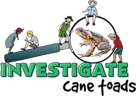 Investigate: cane toads — EducationHQ